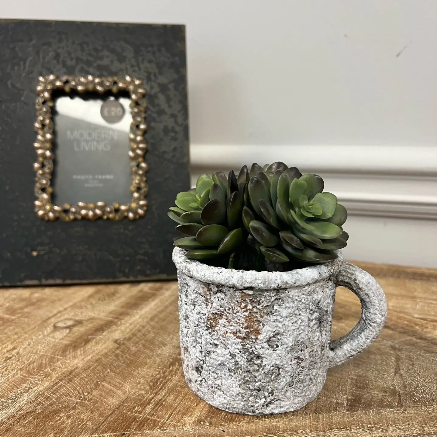 Cement Rustic Mug Planter – VagabondVintage