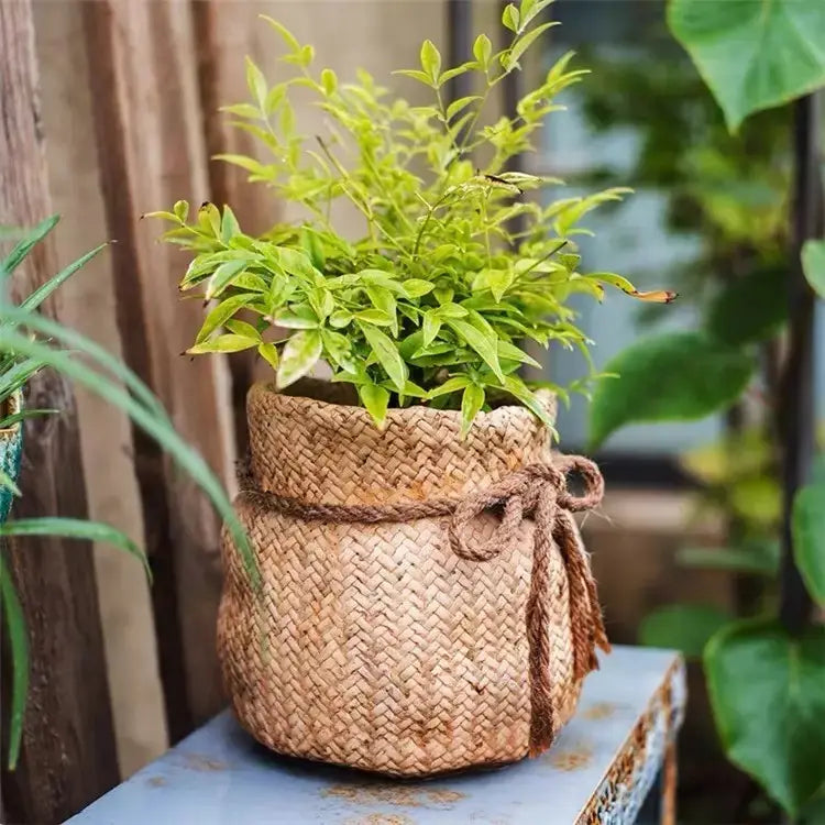 Small Cement Sack with Rope Tie – VagabondVintage