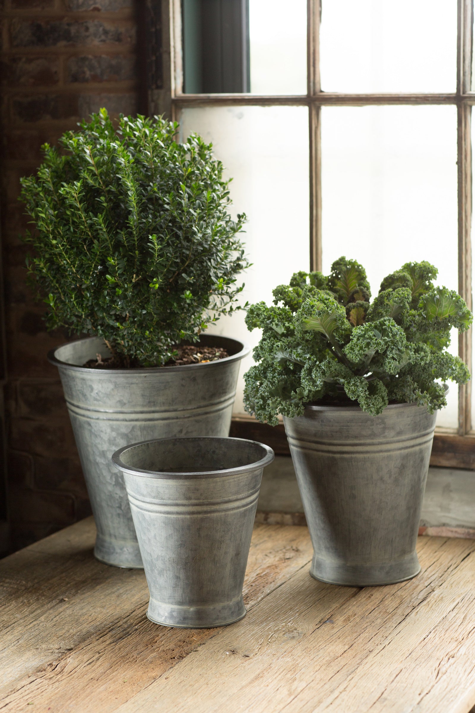 Metal Planters with Copper Finish - Set of 3 – VagabondVintage